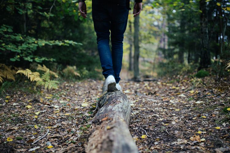50 Hiking Quotes to Boost Your Outdoor Motivation – QUOTECHARMS